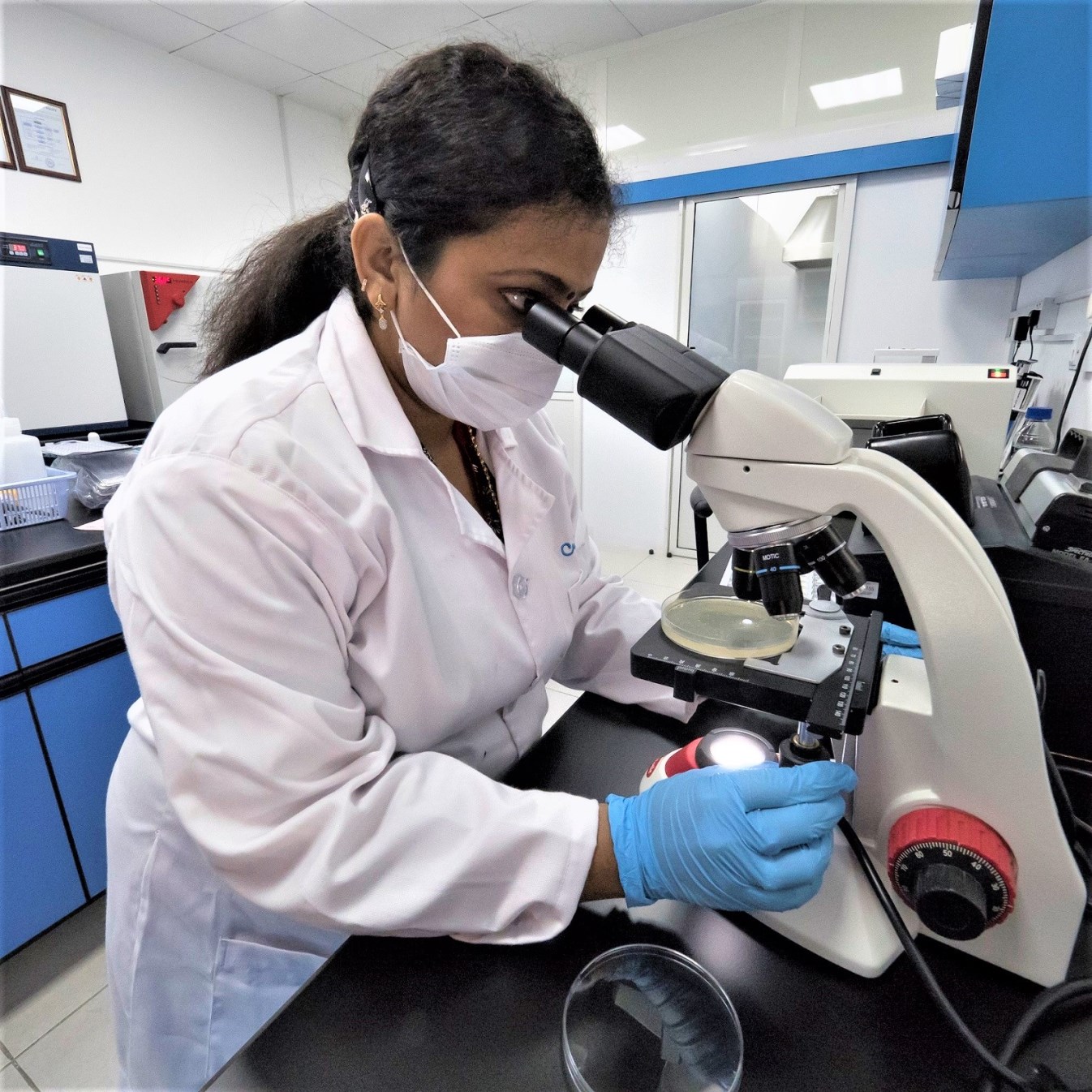 dayofdubai.com | Dubai Lab Breakthrough Helps Build Safety In The ...