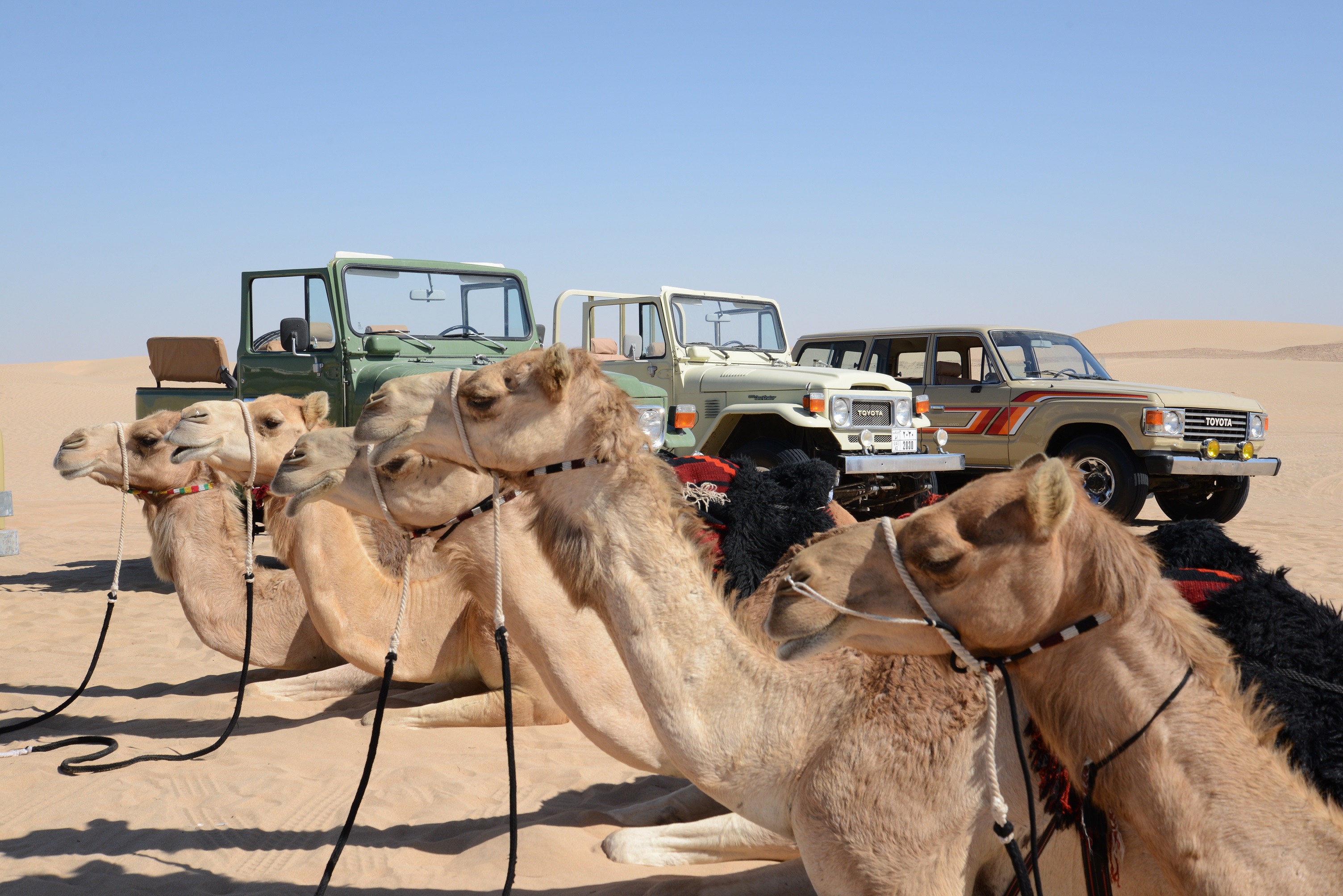 Al Marzoom Hunting Reserve Receives First Group of Falconers in Its ...