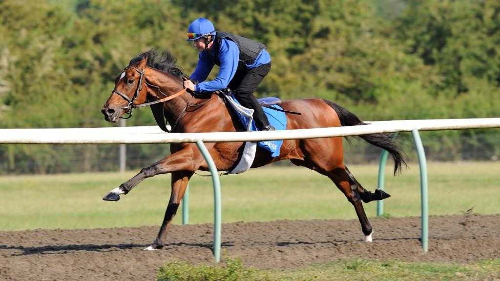 Musaddas Lyrical At Meydan