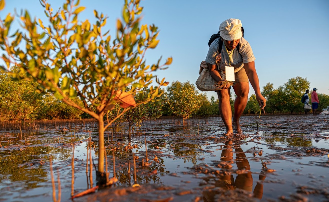 News | dayofdubai.com