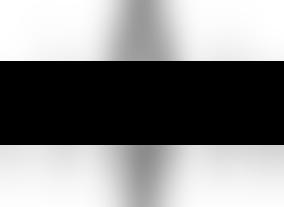 Official Year of Zayed Logo Unveiled